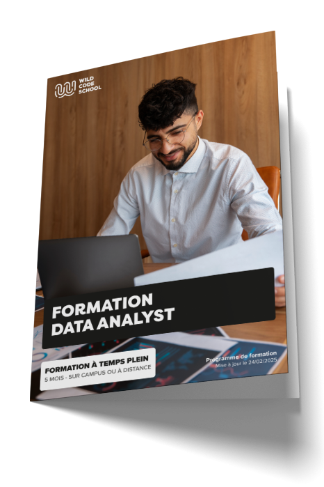 Formation Data Analyst - Syllabus