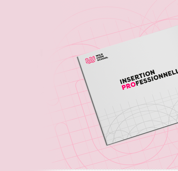 Formation Data Analyst | Wild Code School